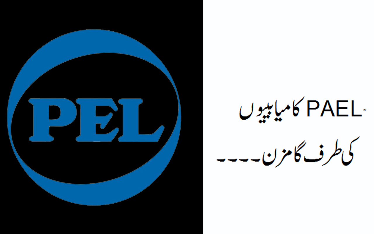 PAEL: Earnings revised upwards; New TP at Rs135 – By Topline Research