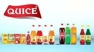 Quice Food Industries Limited (QUICE): FY24 & 9MFY25Corporate Briefing ...